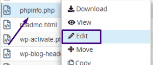 How to Create a PHPinfo.php file to View PHP Settings - GlowFrog Hosting
